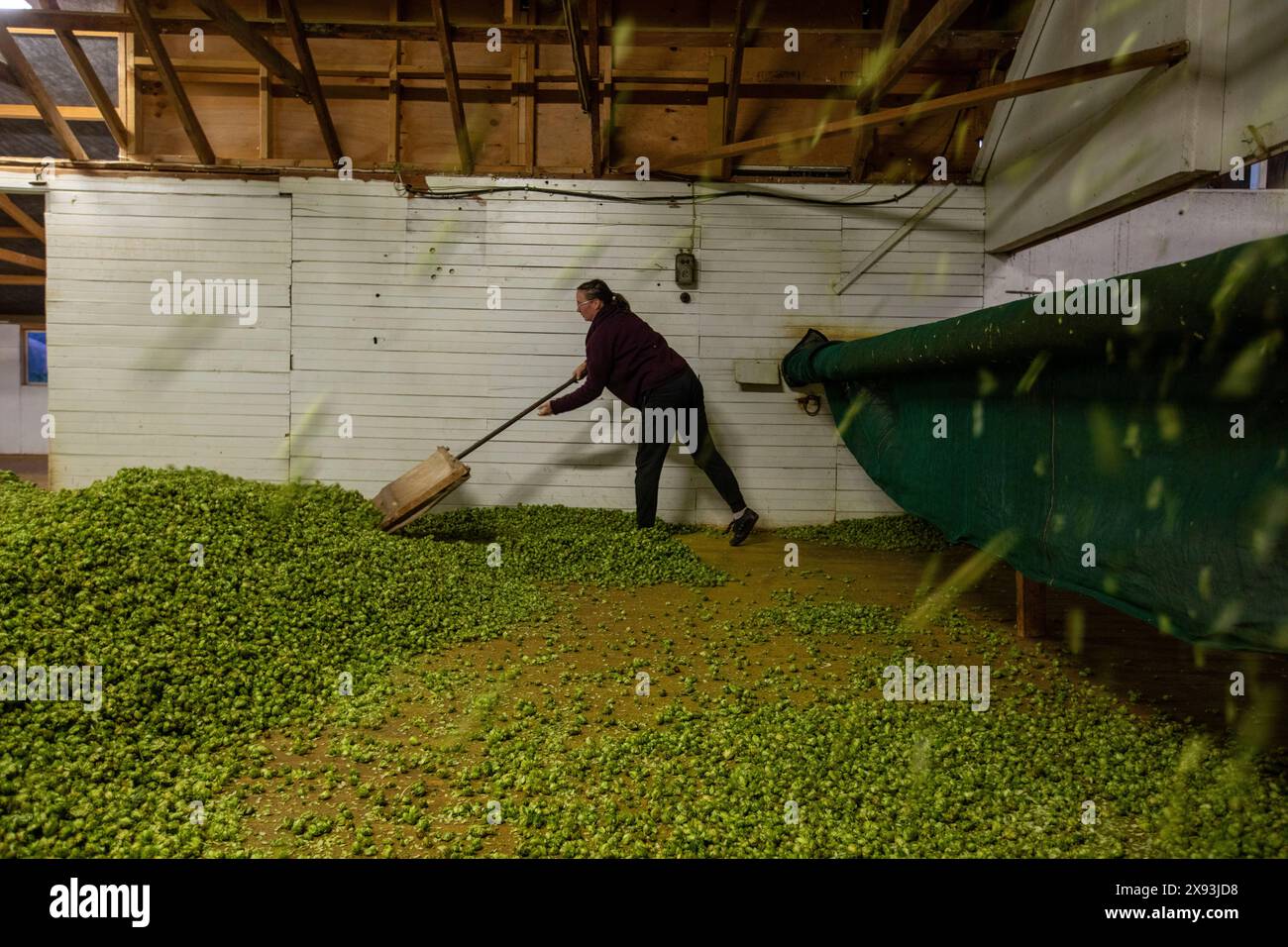 Early farmers new zealand hi-res stock photography and images - Alamy