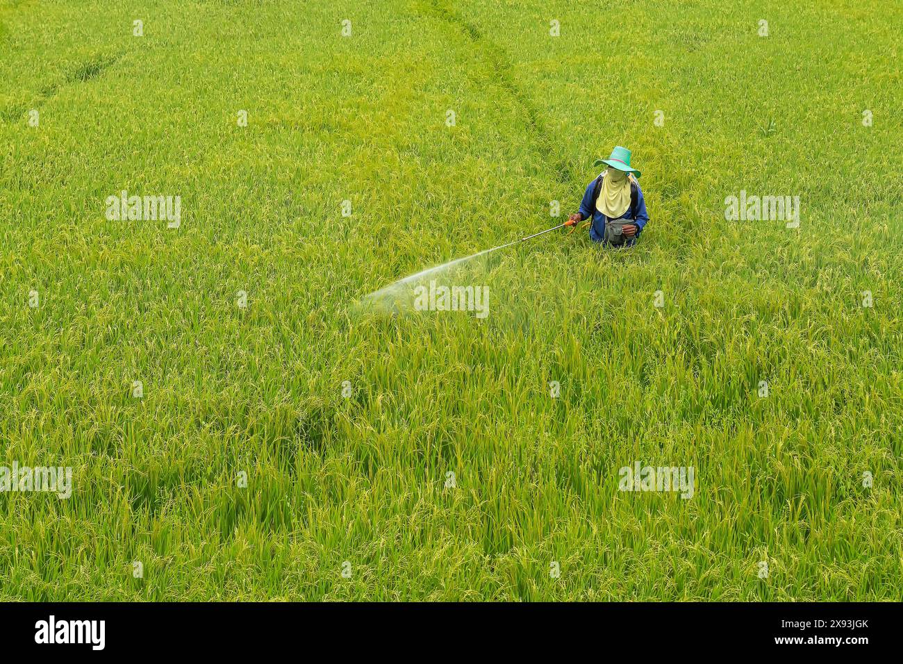 Farmer spraying pesticide hi-res stock photography and images - Alamy