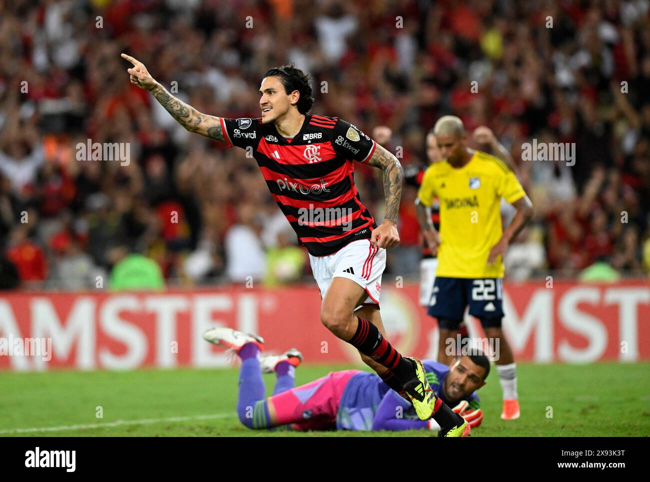 Copa Libertadores - Flamengo vs Millonarios, Rio De Janeiro, Brazil ...