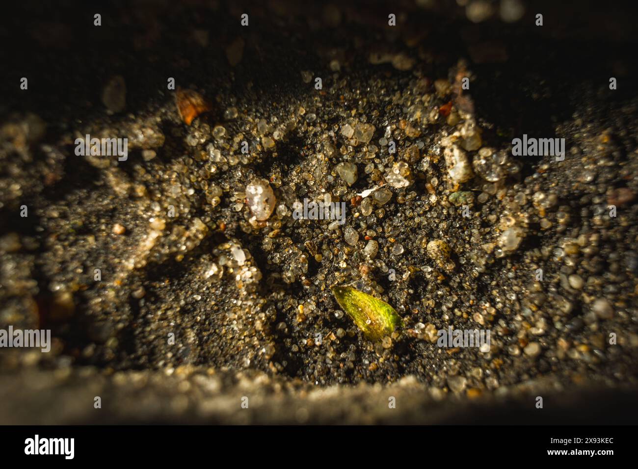 Close up dirt particles hi-res stock photography and images - Alamy