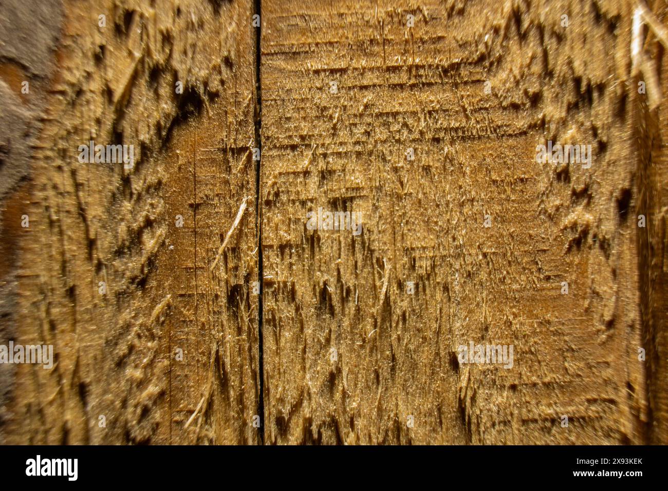 Detailed Wood Grain Texture Close Up Stock Photo - Alamy