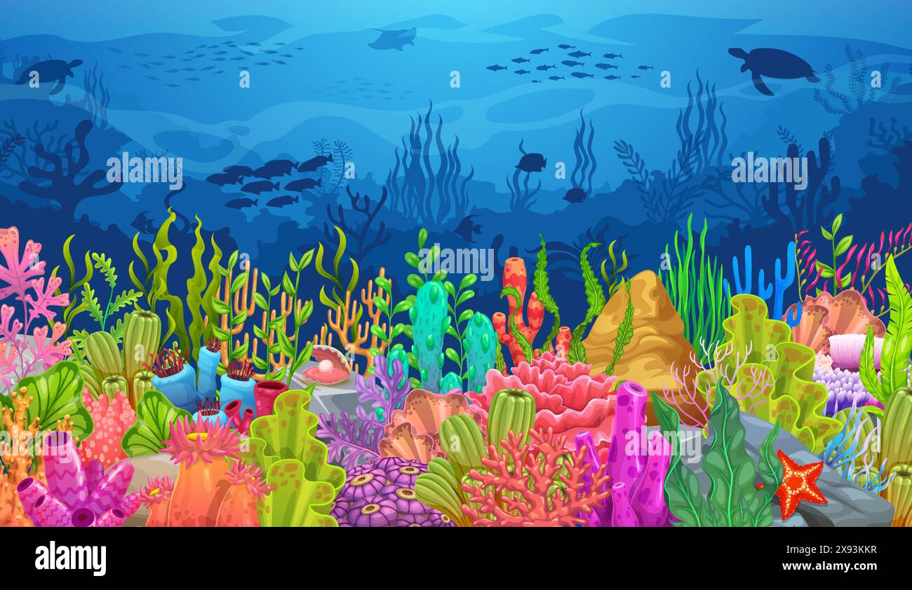 Algae seaweeds underwater landscape. Vector aquatic scene with diverse ...