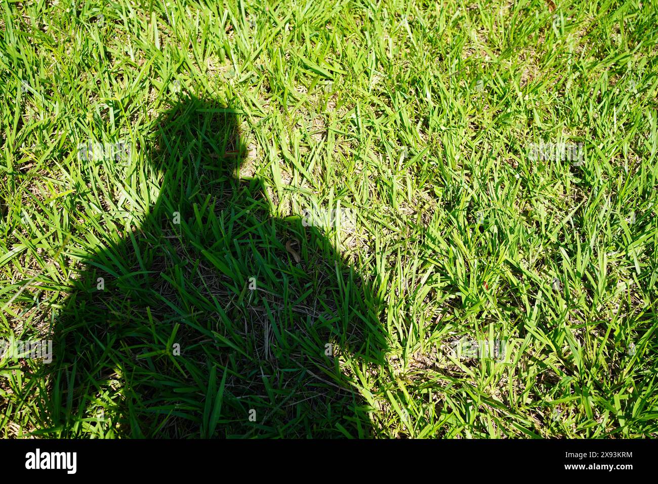 Man laying down on grass hi-res stock photography and images - Alamy