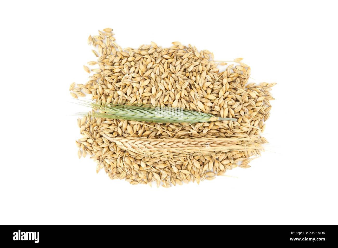 Barley seeds with the outer husk and barley ears isolated on white ...