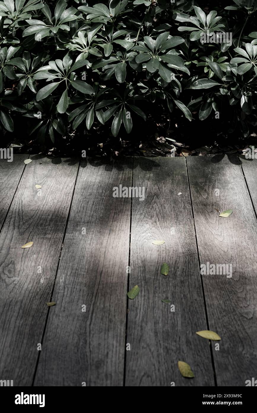Wooden path pavement design exterior with shadow fallen leaves and ...