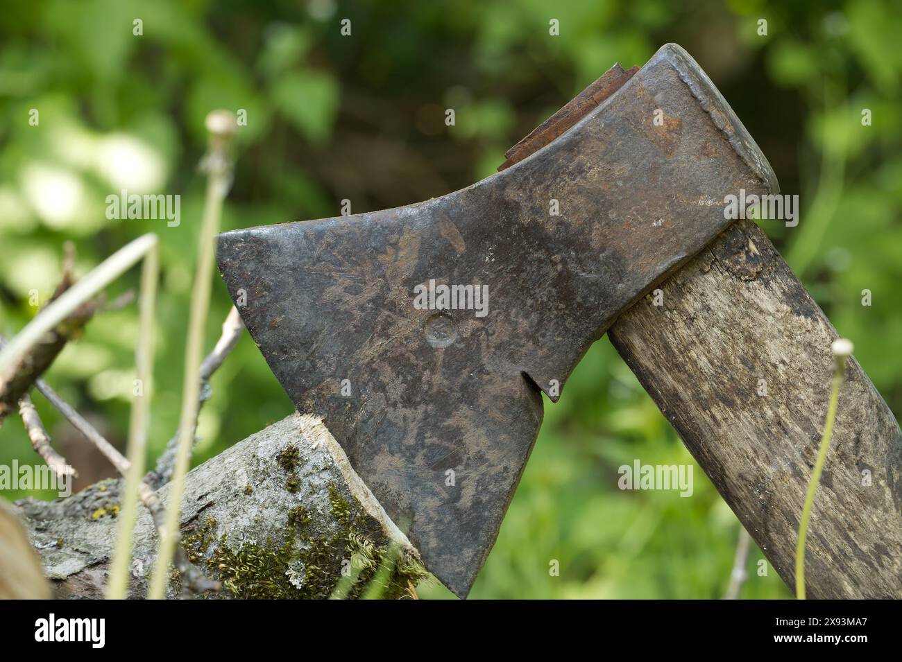 Detailed close-up of a wooden-handled axe lodged in a log, surrounded ...