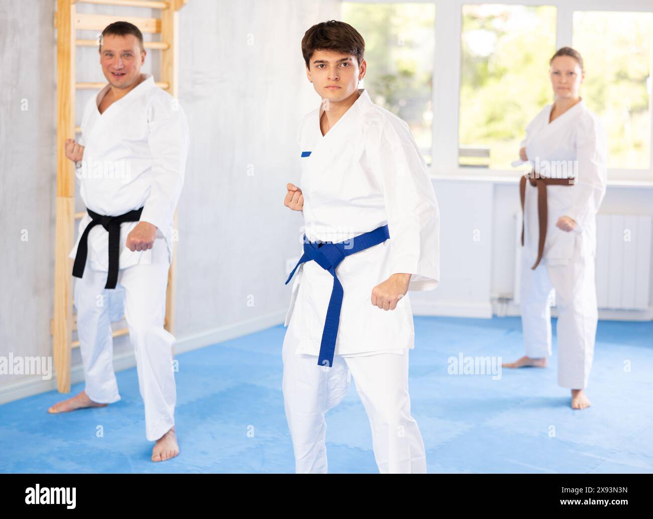 Athletes have starting position and repeating sequence of punches and ...