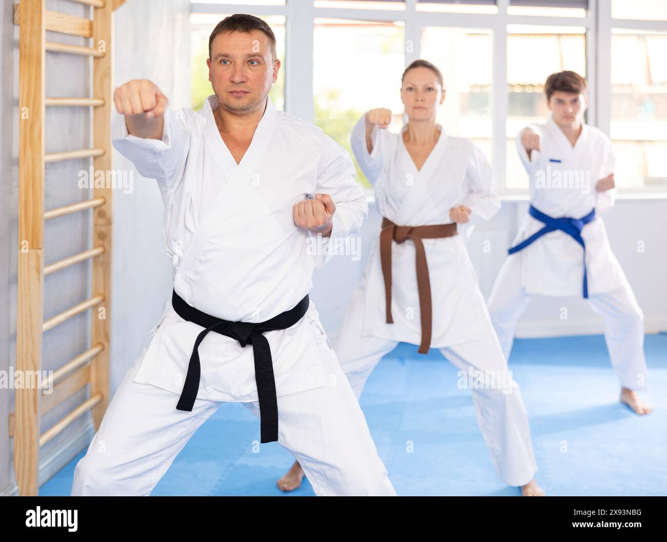 Group of people in kimonos try new fighting techniques at karate ...