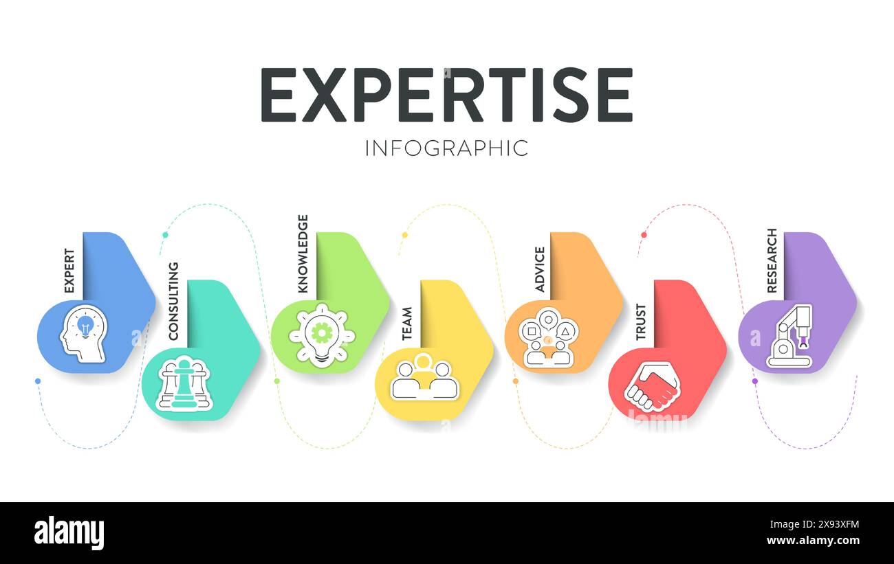 Expertise framework infographic diagram chart banner with illustration ...