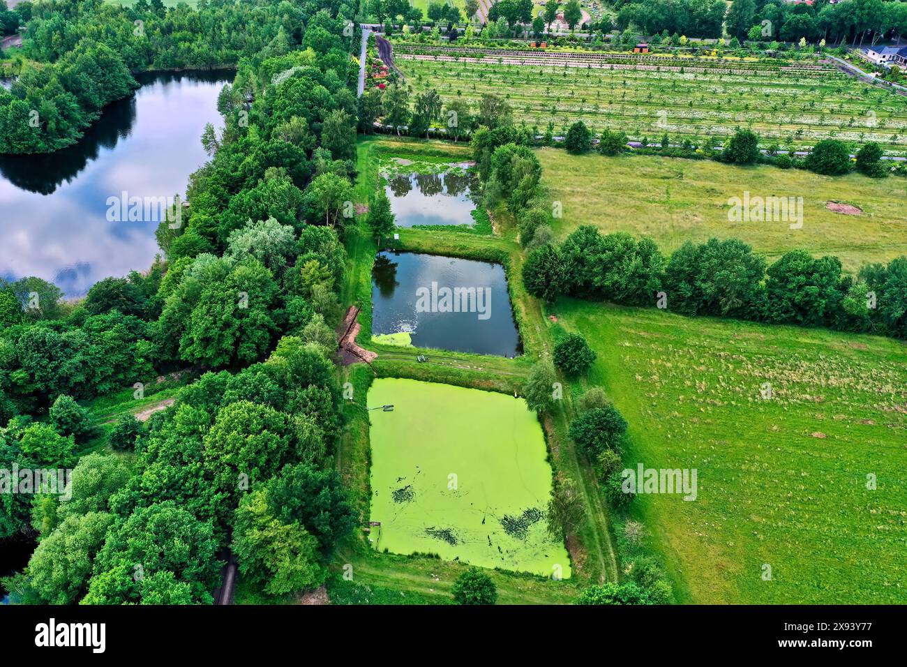 Aerial View of Three Rectangular Fish Ponds for Freshwater Fish Farming ...