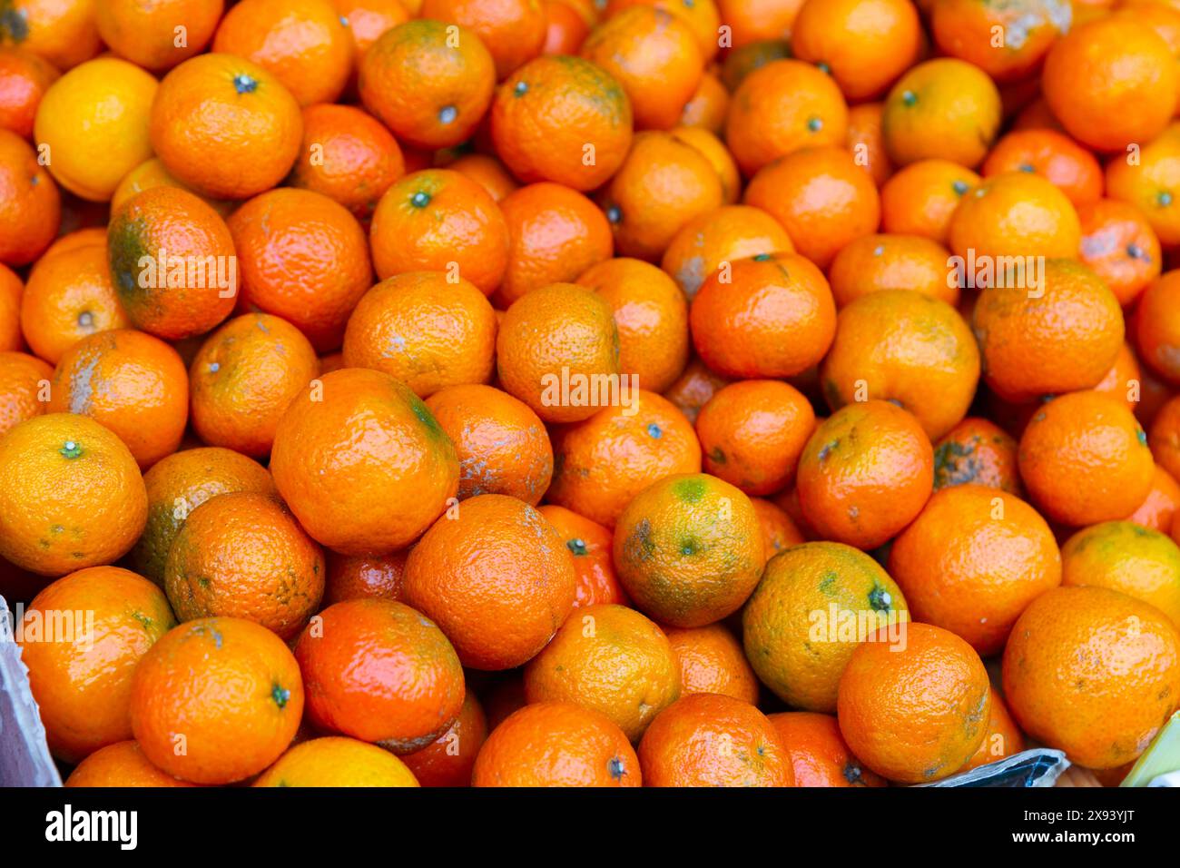 Showcase of citrus tangerines hi-res stock photography and images - Alamy