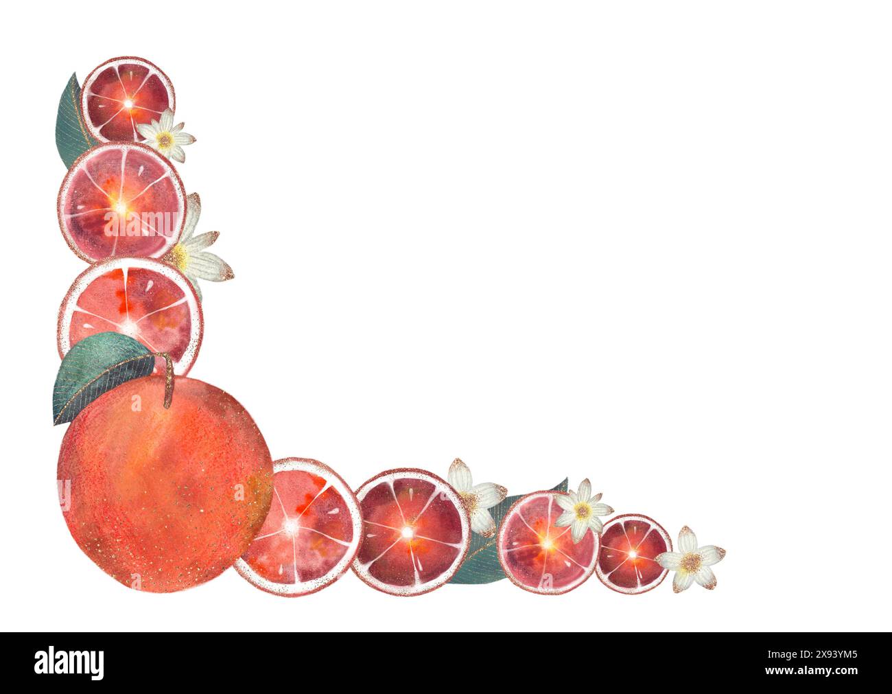 Decorative corner border with vibrant citrus fruit slices and flowers ...