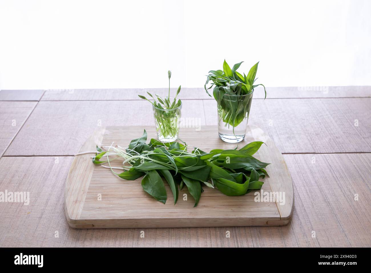 Allium ursinum, bear garlic, ail des ourses. Herbal, medicinal plant ...