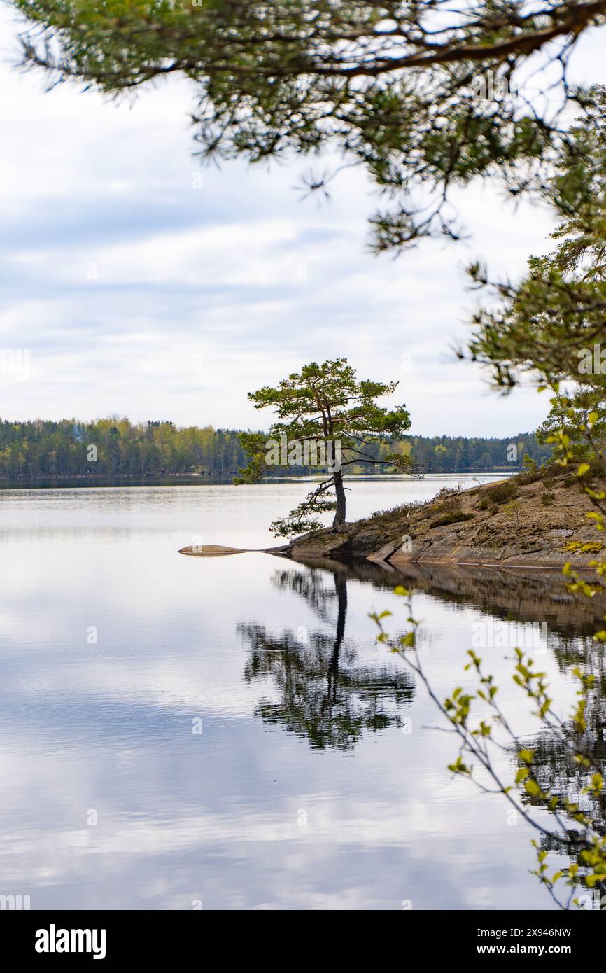 A tranquil lakeside scene with trees reflecting in the calm water ...