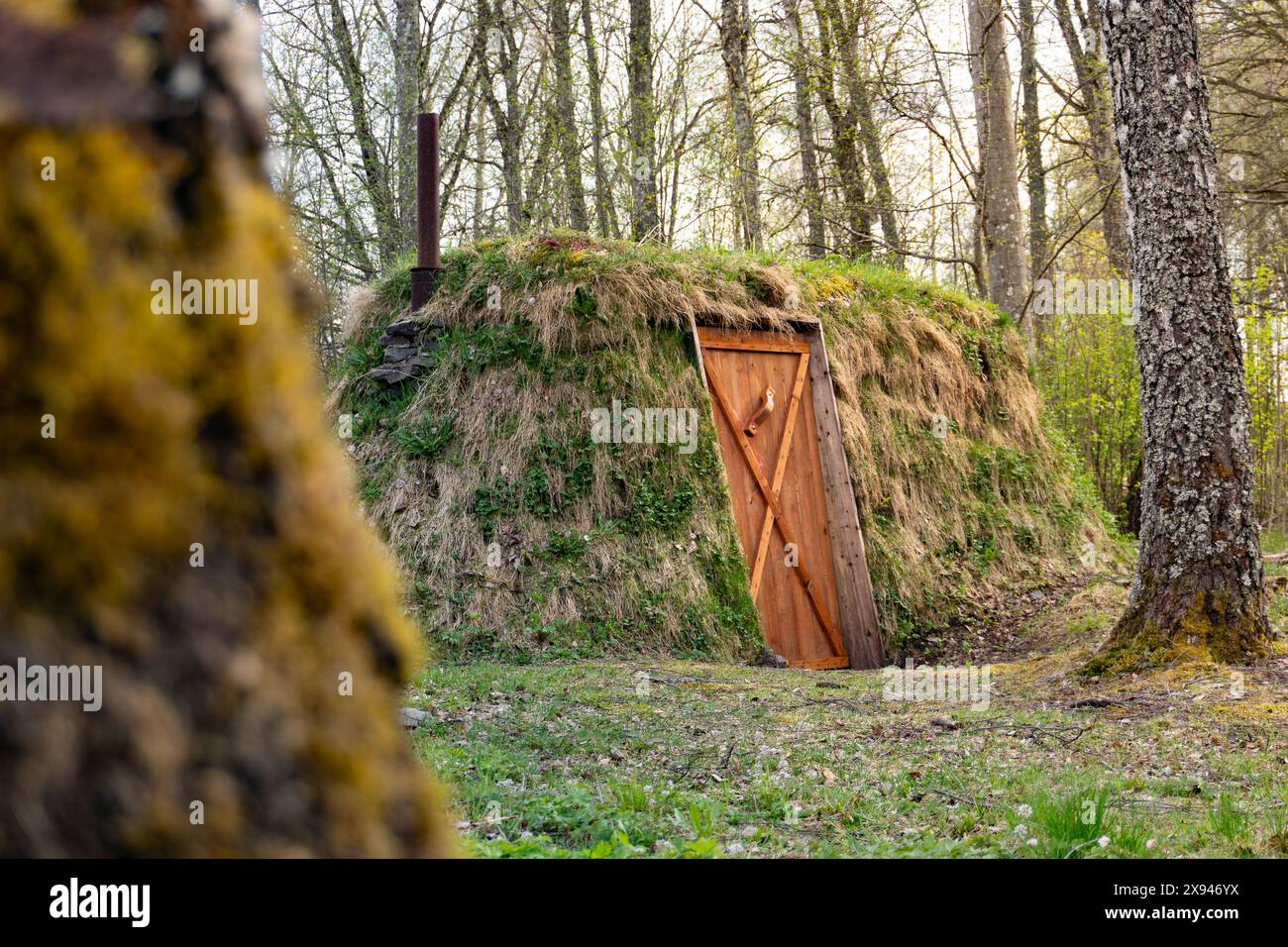 Traditional turf house with a wooden door, highlighting historical ...