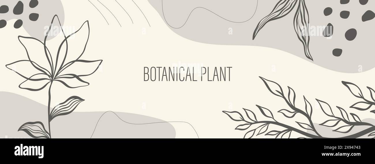 Design banner plant nature hand drawn. Plant botanical element.Elegante ...