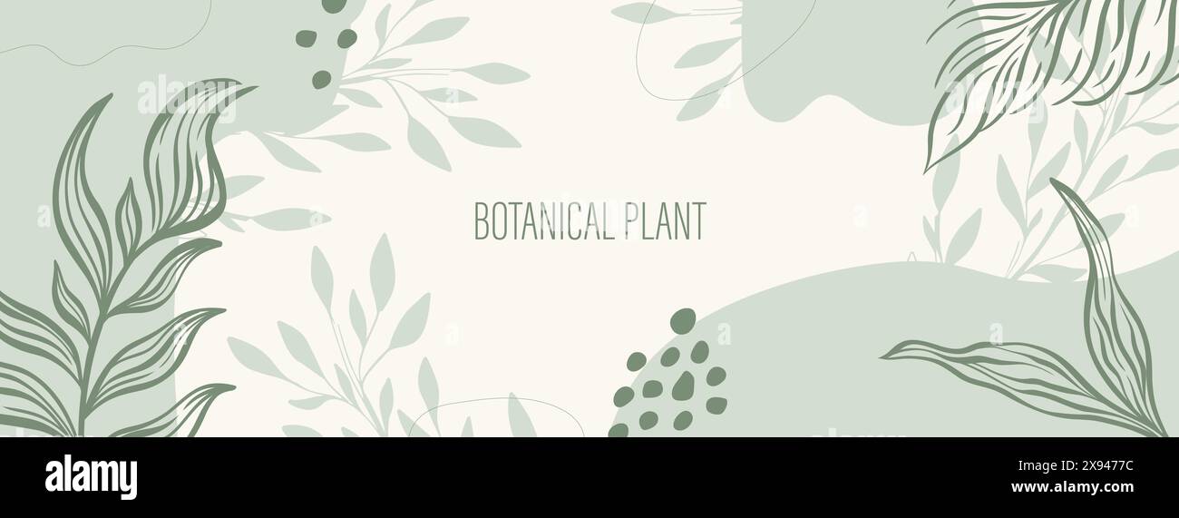 Design banner plant nature hand drawn. Plant botanical element.Elegante ...