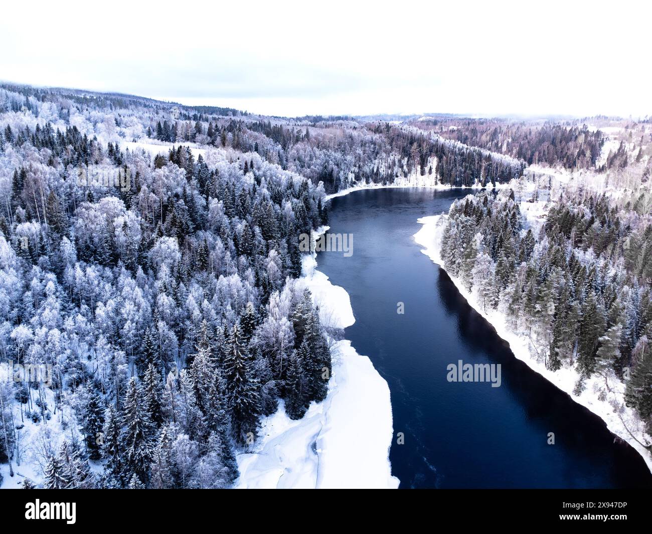 Aerial view of a snow-covered river winding through a dense forest ...