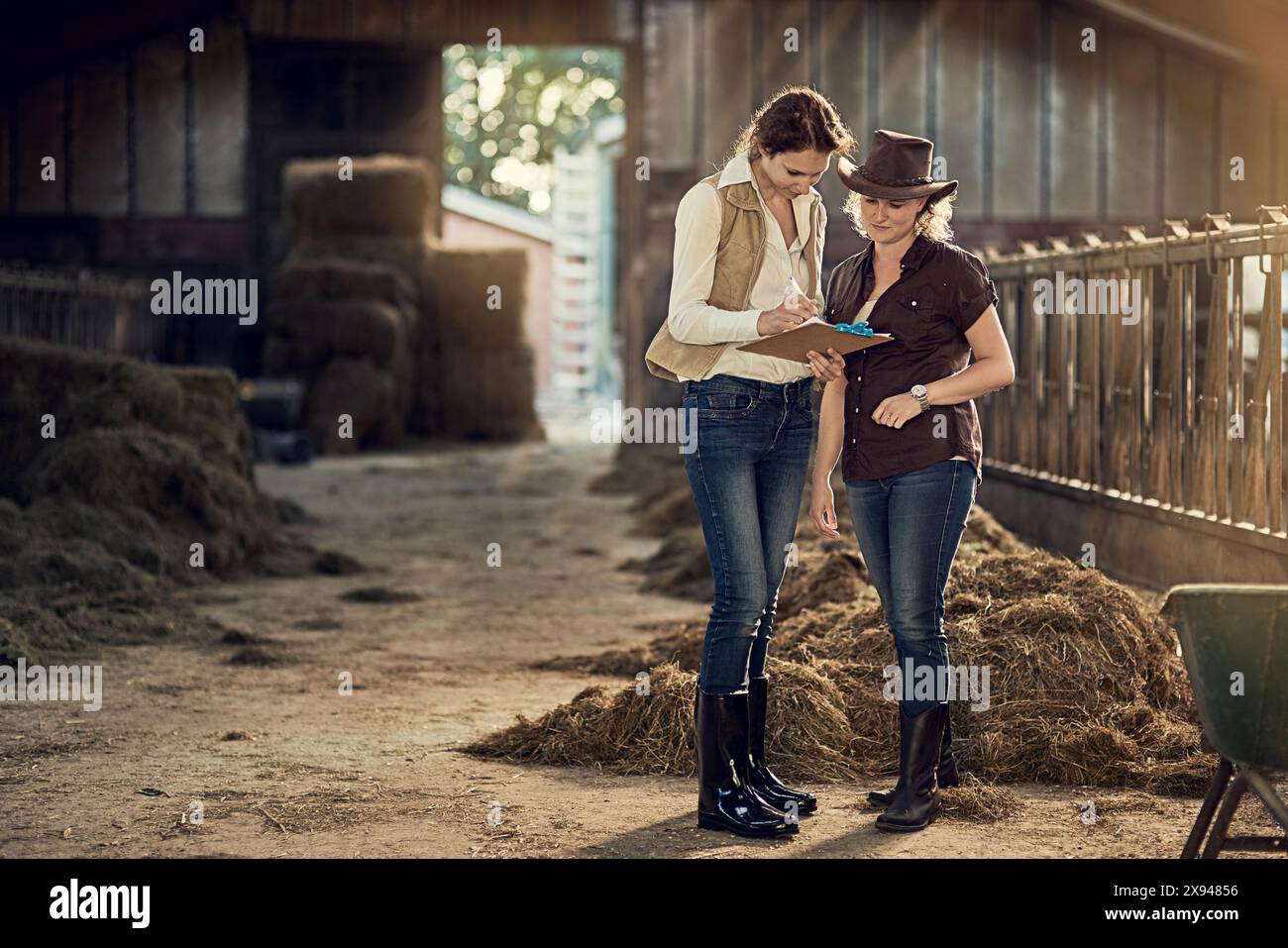 Women, clipboard and check together in barn for cleaning schedule, teamwork and review. Female ...