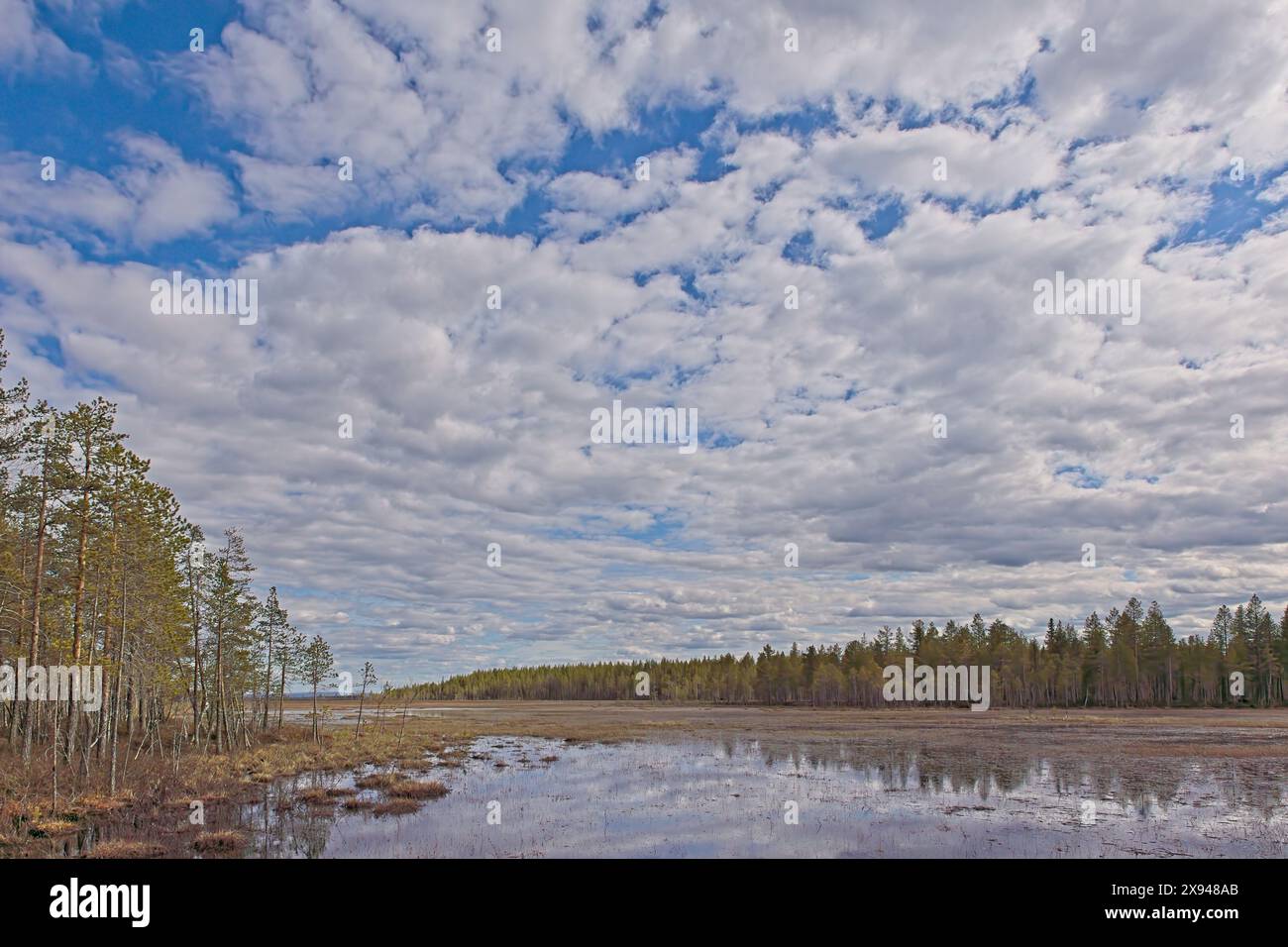 Viiankiaapa Mire Reserve in cloudy spring weather, Sodankylä, Lapland ...