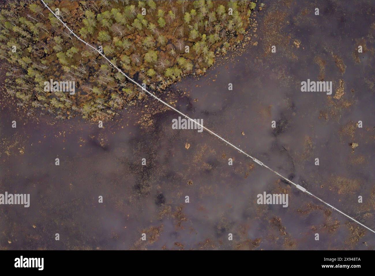 Aerial view of Viiankiaapa Mire Reserve in cloudy spring weather ...