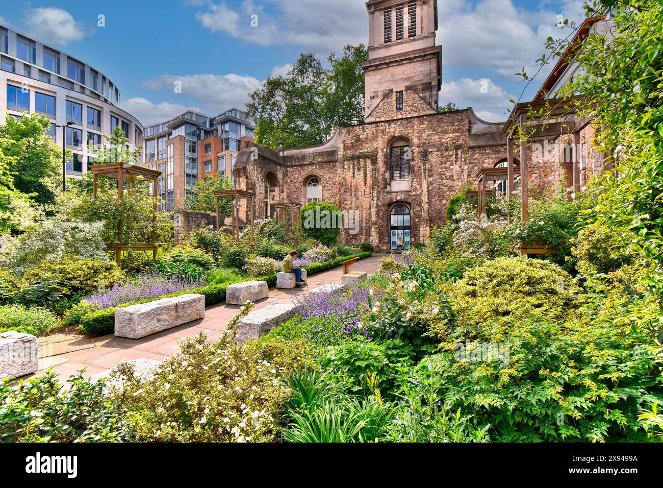 Christchurch Greyfriars Church and Garden roses irises and shrubs in ...