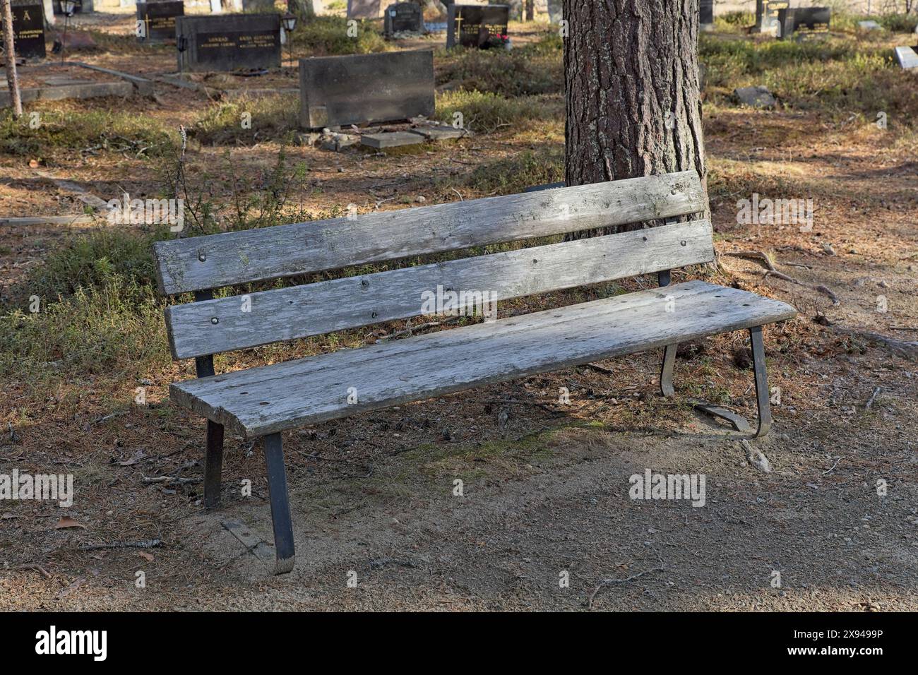 Empty wooden bench in cemetery by the side of a path in spring Stock ...