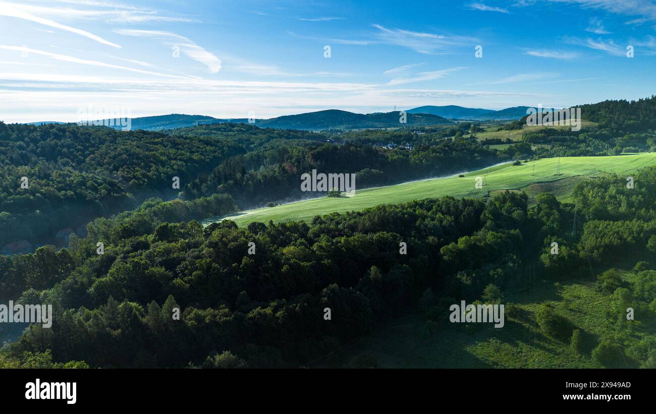 Aerial view lush forest greenery hi-res stock photography and images - Alamy