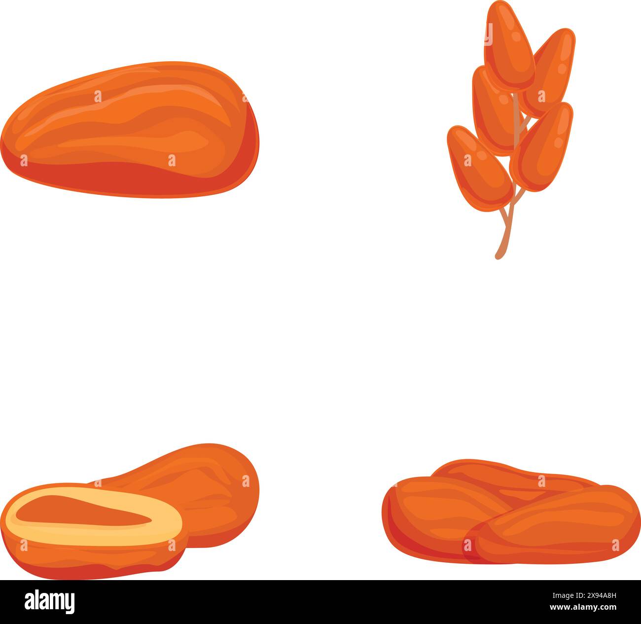 Assorted colorful dried bean illustrations of kidney, chickpeas, and ...