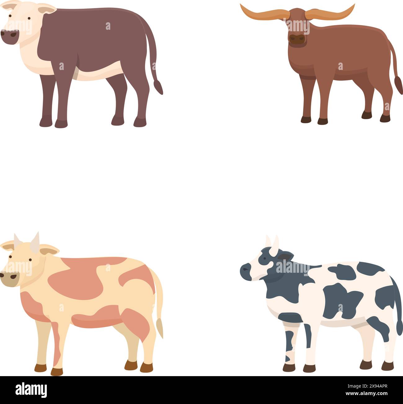 Collection of four cartoon illustrations of different cattle breeds on ...