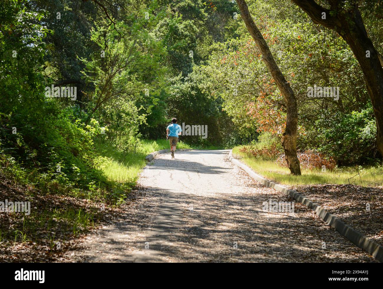 Young man running on the track in the woods. San Jose. USA Stock Photo ...