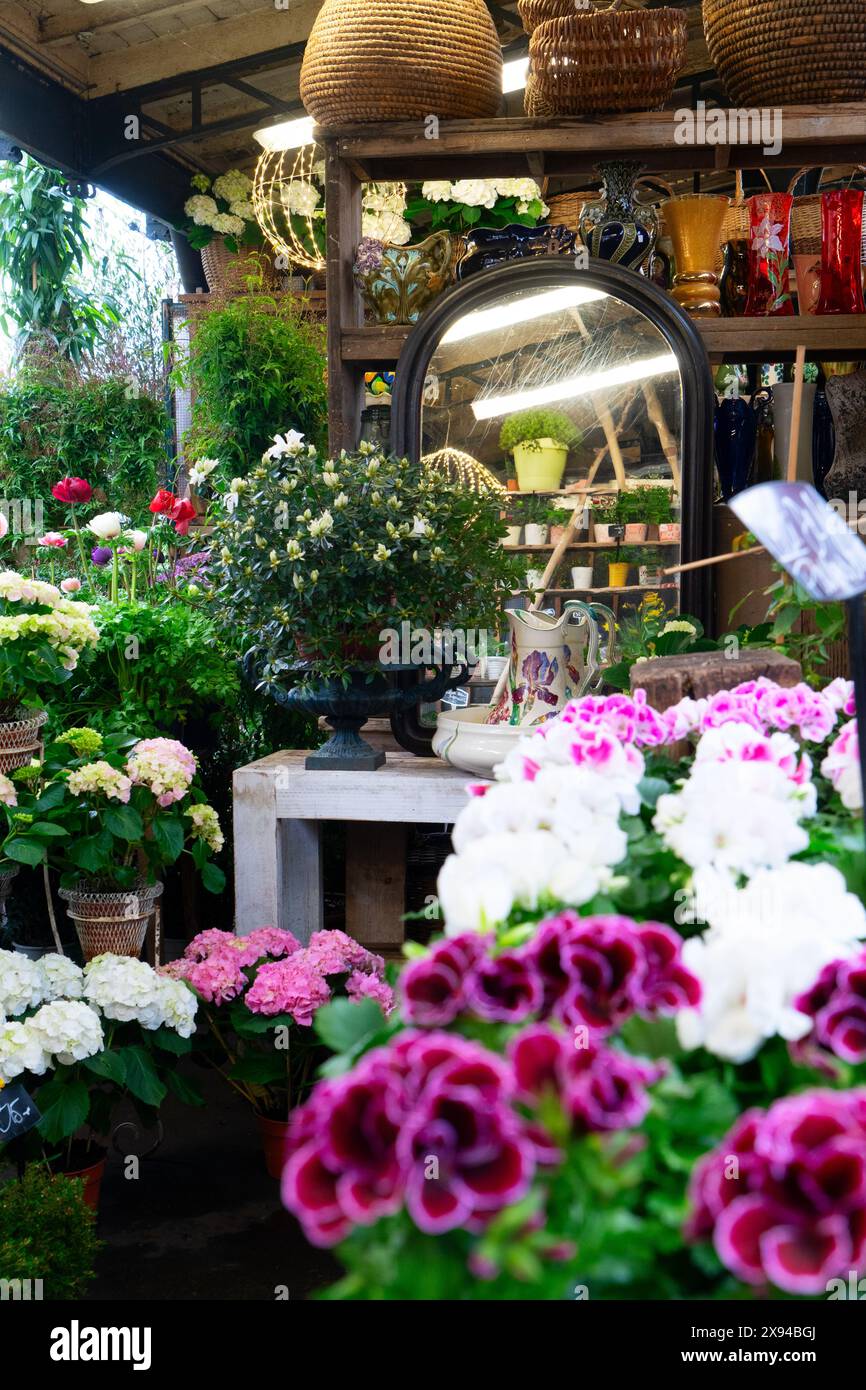 Paris flower market Stock Photo - Alamy