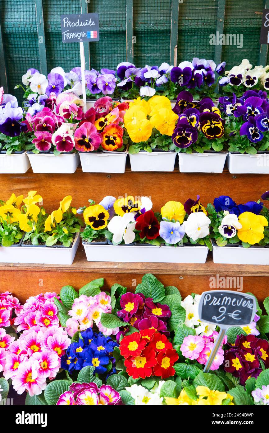Paris flower market Stock Photo - Alamy