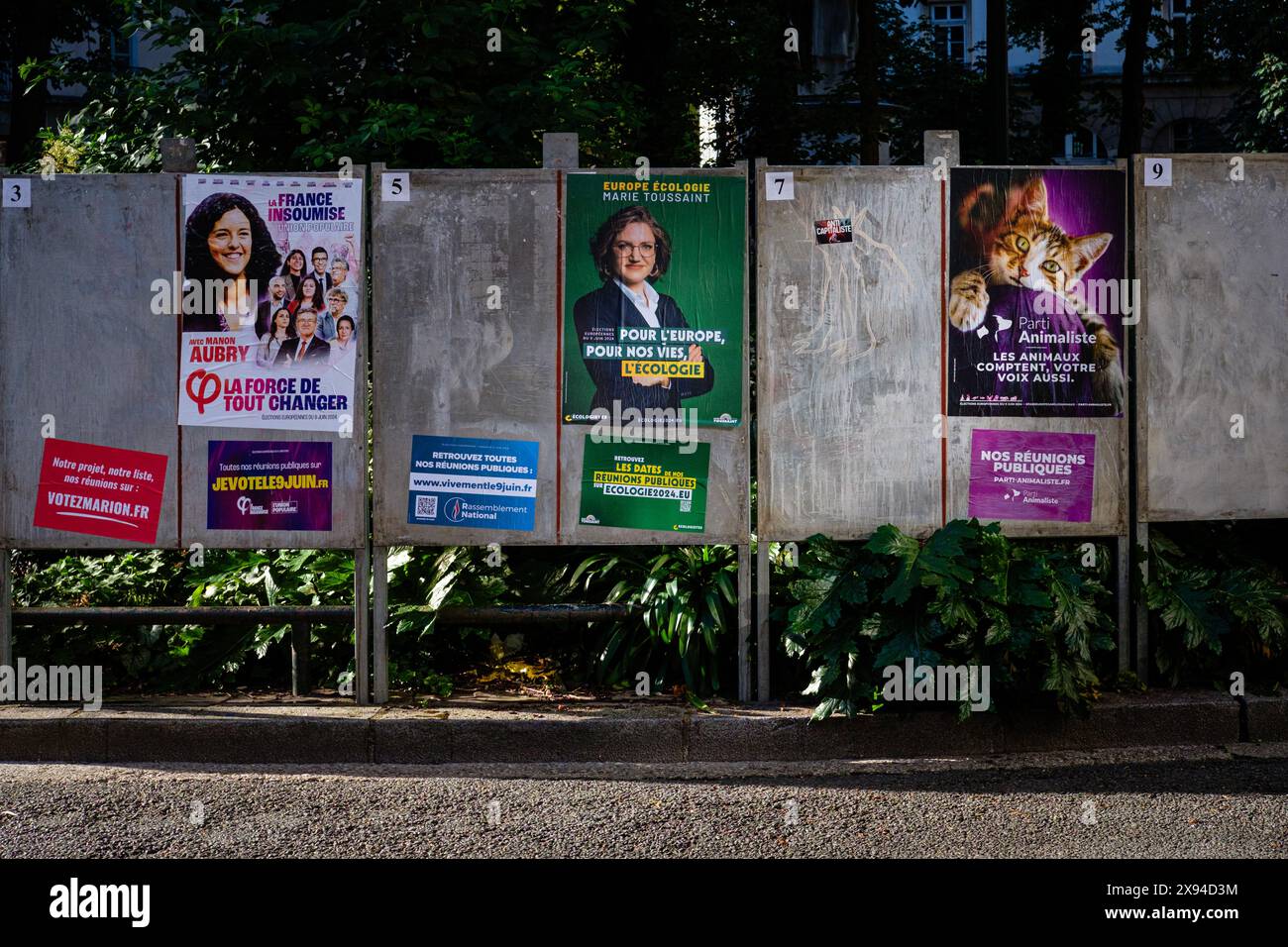 The electoral panels for the 2024 European elections have been put in ...