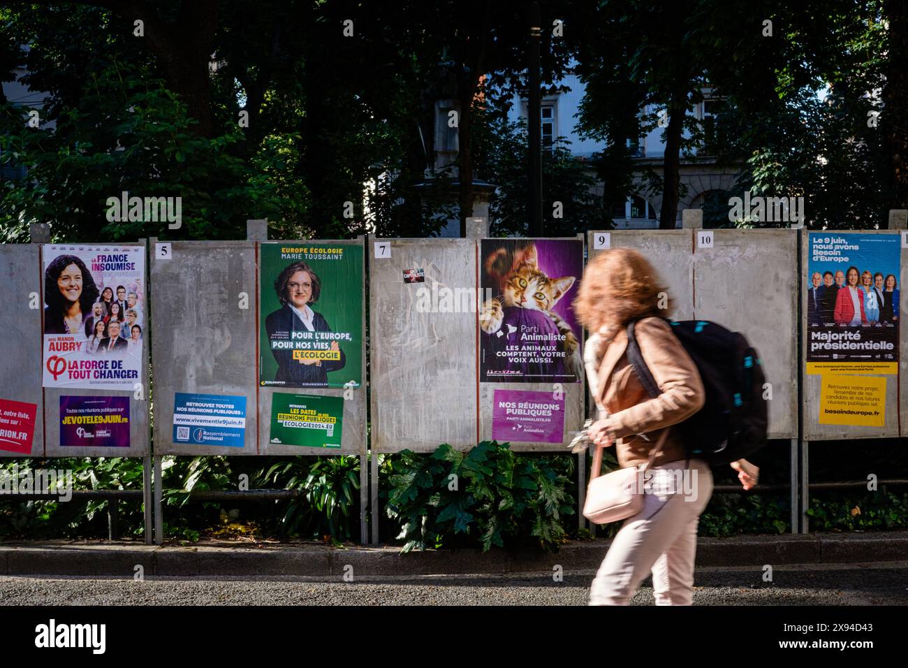 The electoral panels for the 2024 European elections have been put in ...