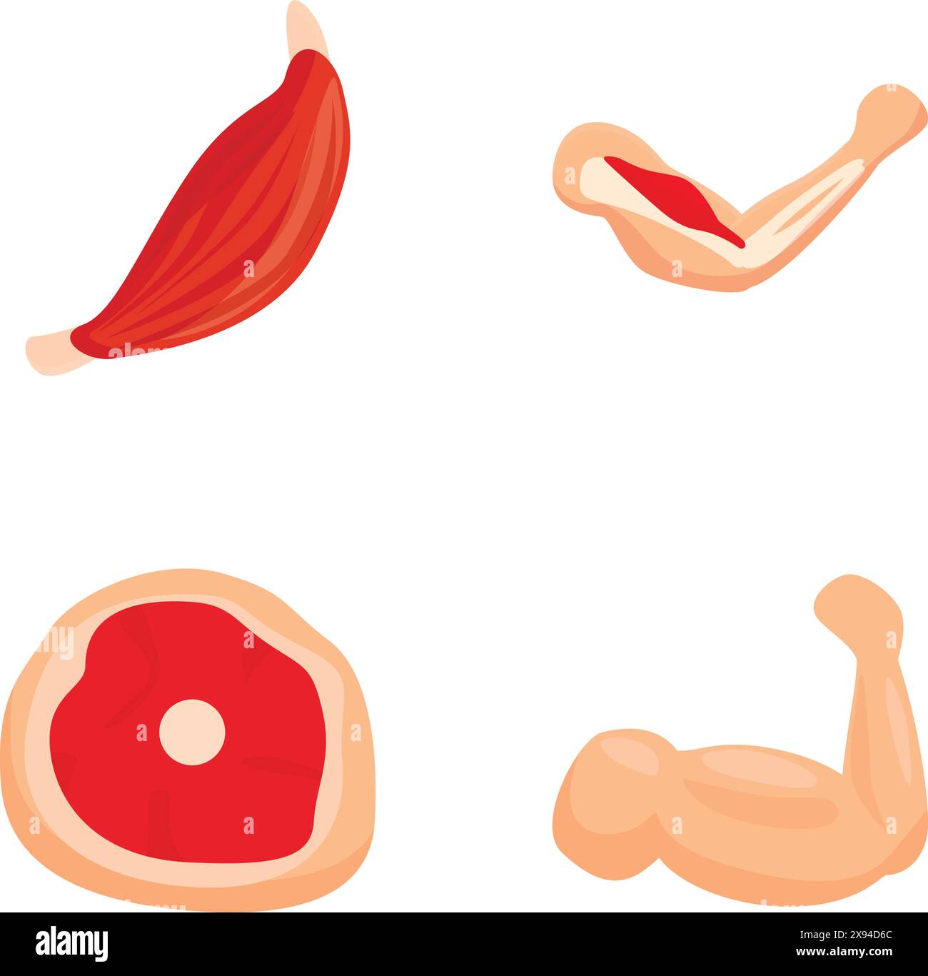 Vector Illustration Of Various Cartoon Meat Cuts Including Beef Chicken And Pork Stock Vector