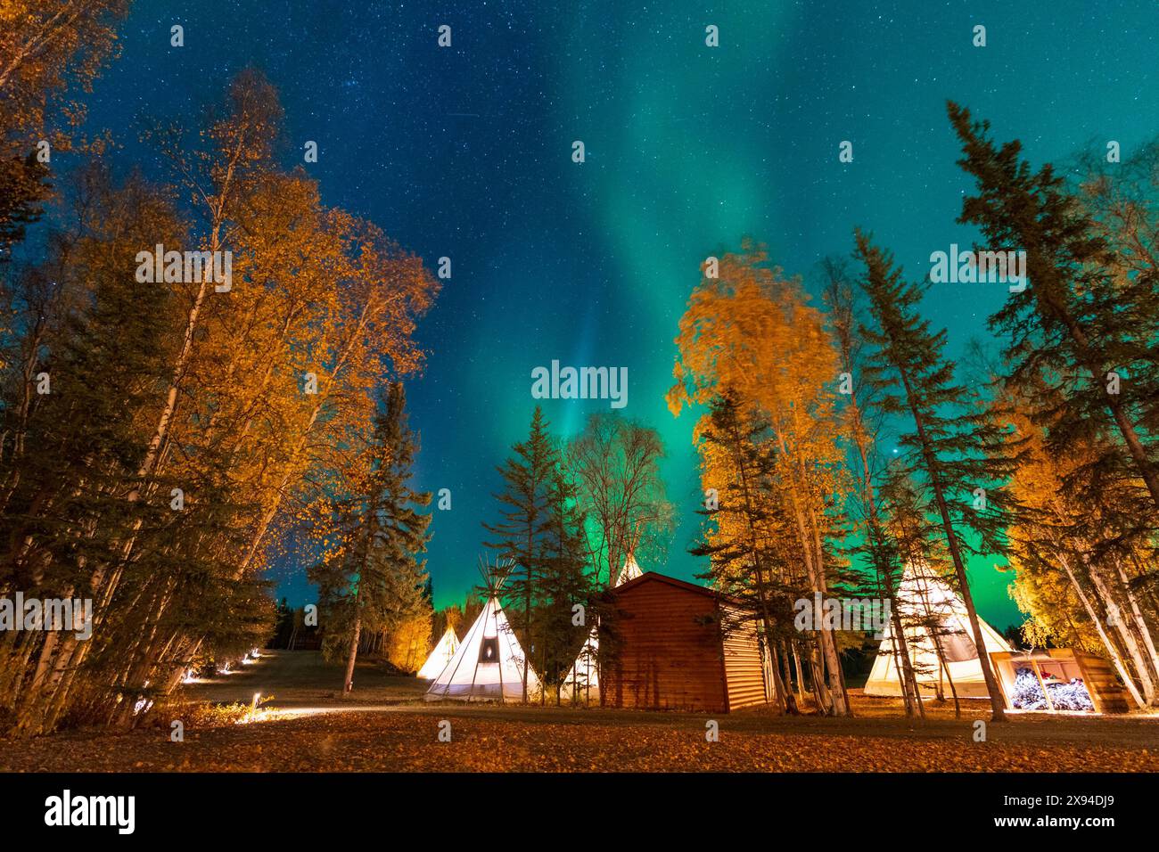 Amazing northern lights dancing over the light up Tipi or Tepees at ...