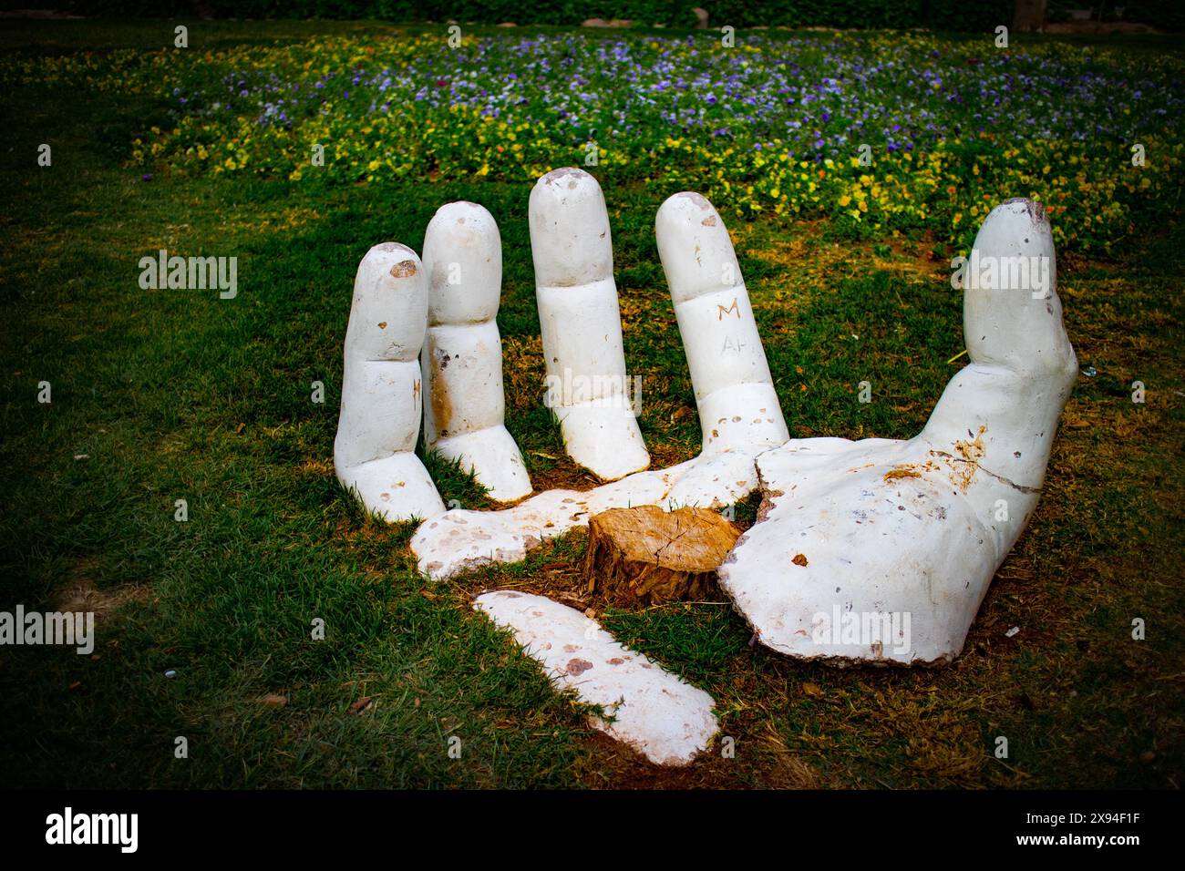 Giant hand holding a tree, couldn't save it though Stock Photo - Alamy
