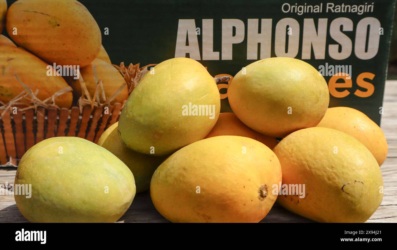 Alphonso mango heap stacked in a box of mangoes Stock Photo - Alamy