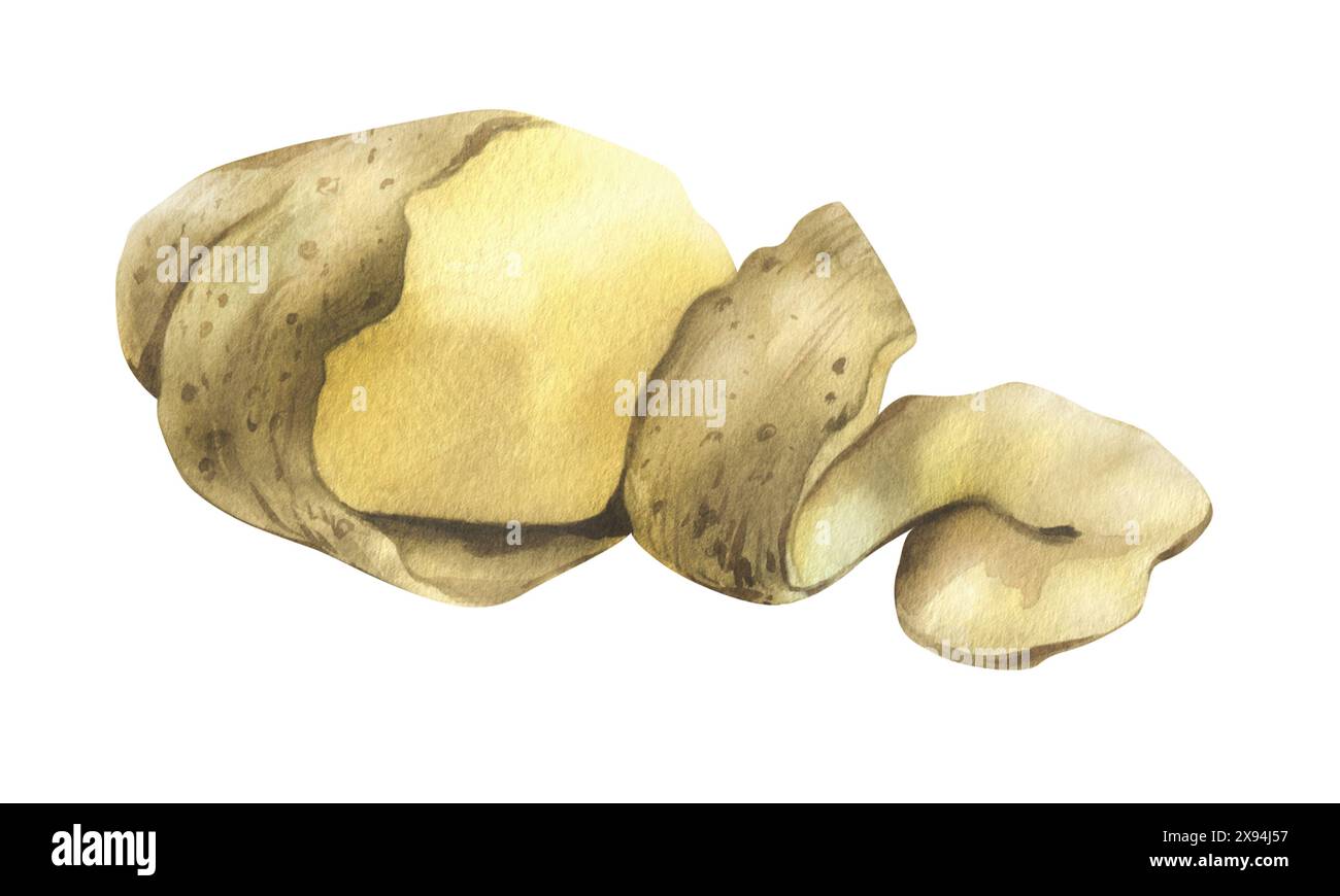 White potatoes in brown skins, half peeled with a spiral of peelings ...