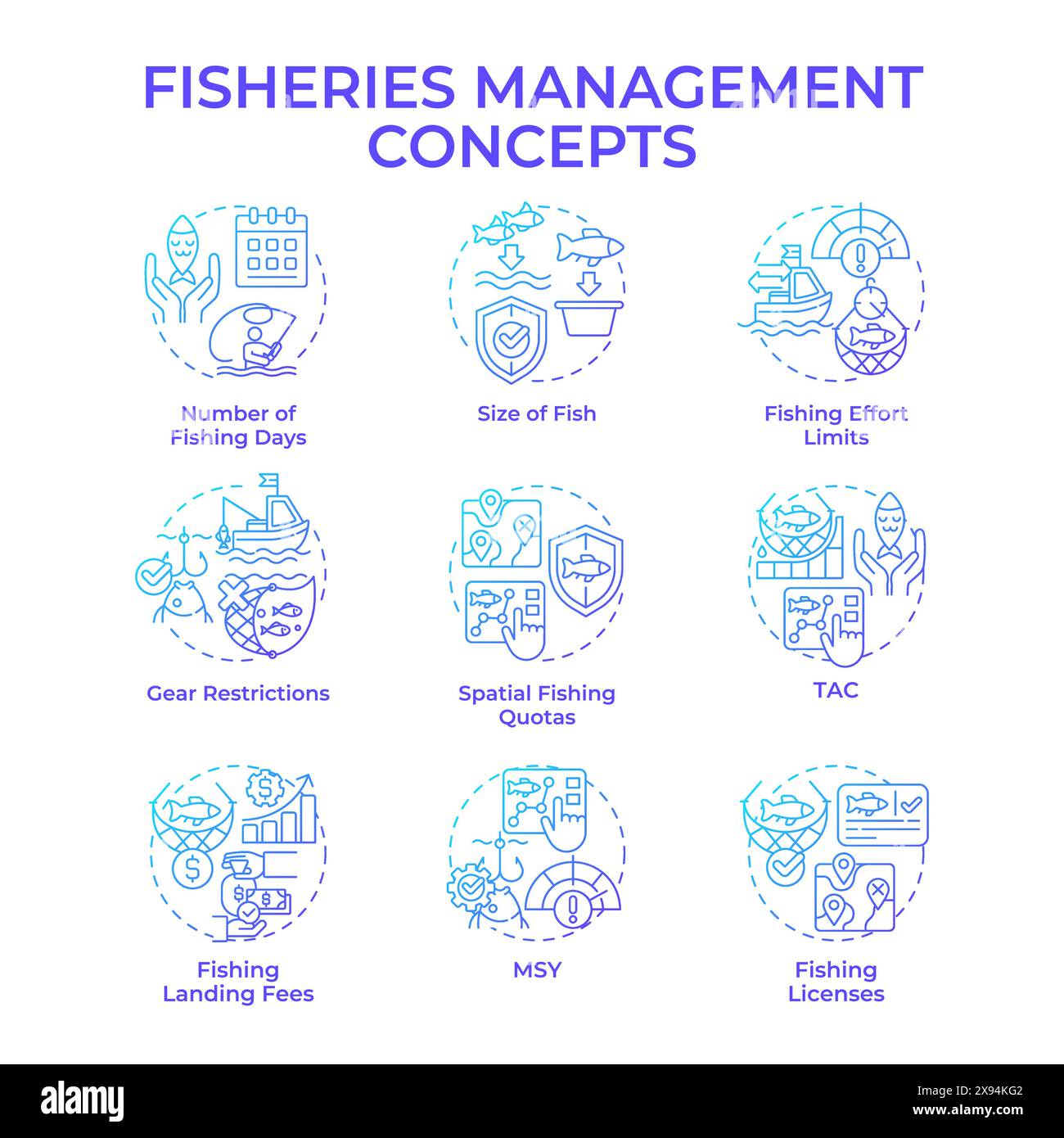 Fisheries management blue gradient concept icons Stock Vector Image ...