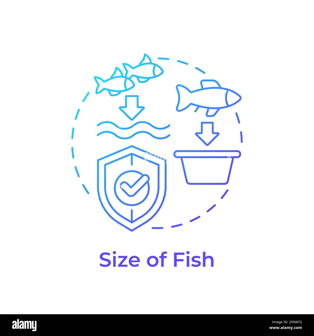 Size of fish blue gradient concept icon Stock Vector Image & Art - Alamy