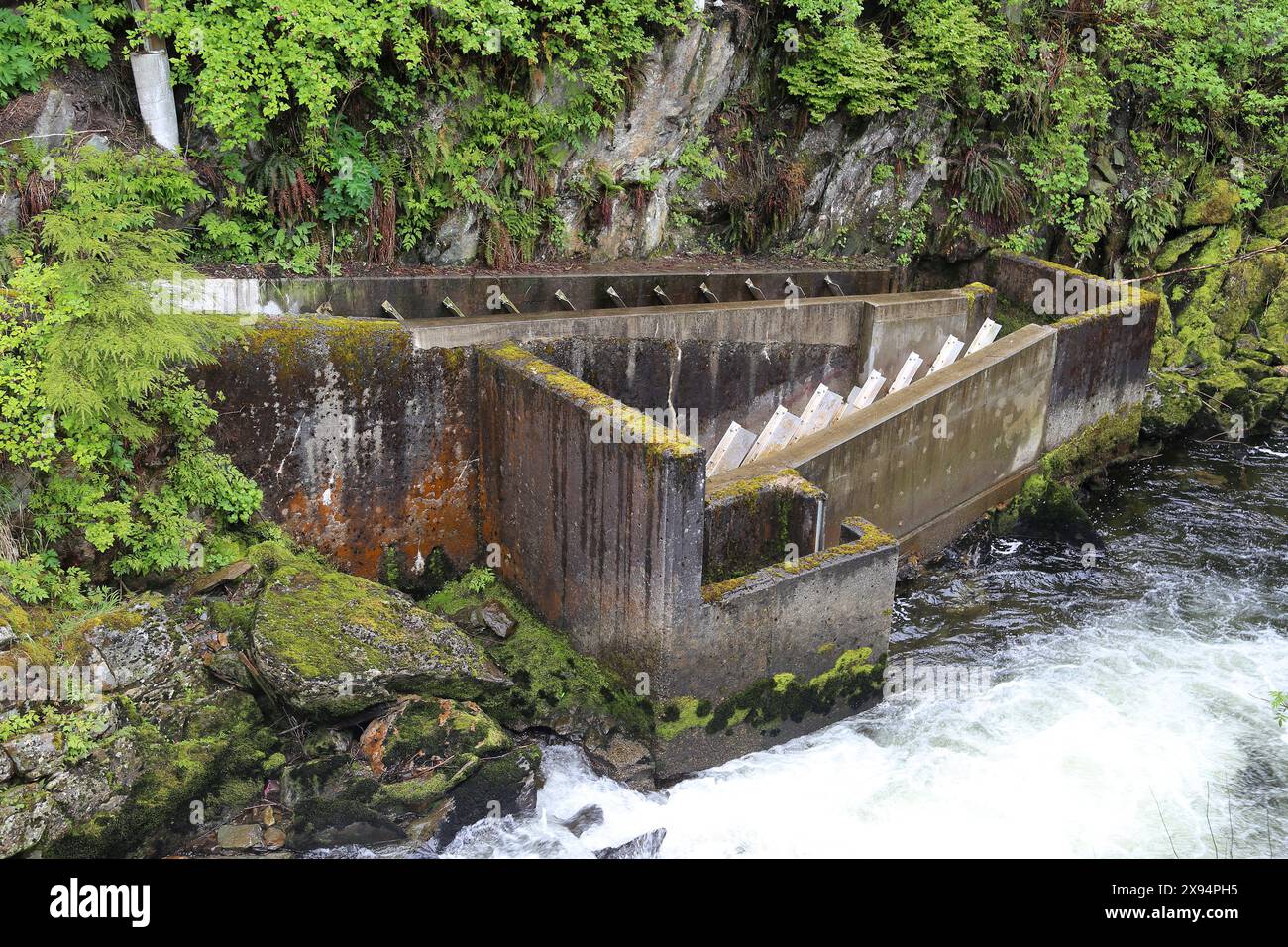 Salmon Ladder, Ketchikan Creek, Park Avenue, Ketchikan, Revillagigedo ...