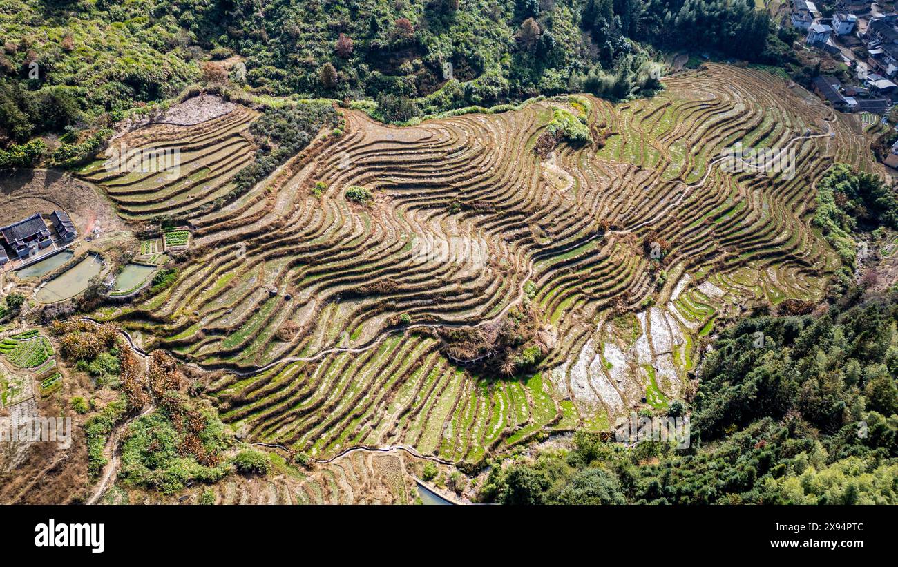 Aerial of rice terraces around Tianluokeng, UNESCO World Heritage Site ...