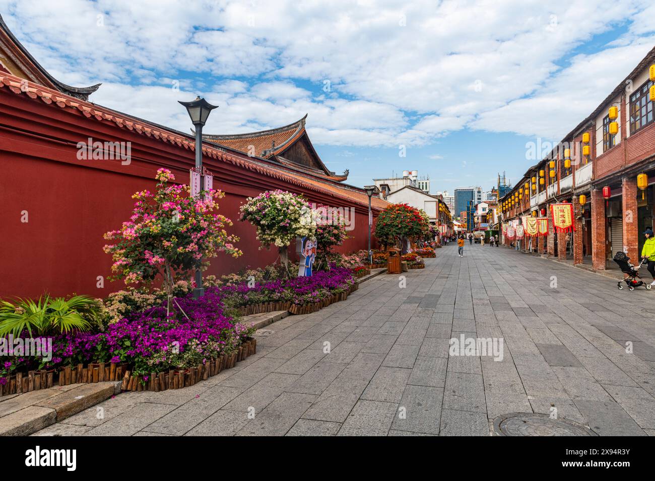 Colourful trees in the historic center of Zhangzhou, Fujian, China ...