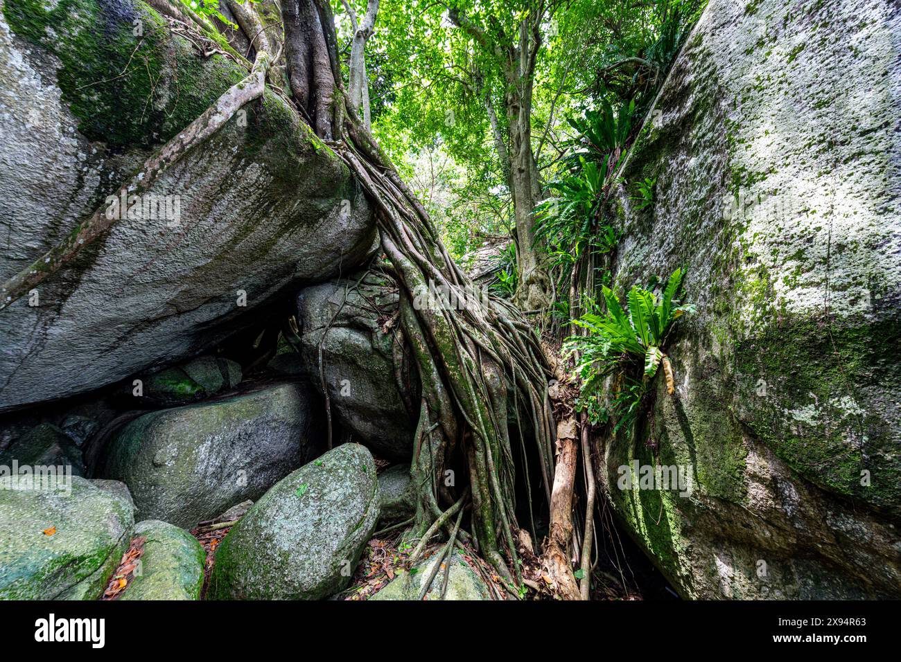 Giant granite rocks on Pulau Kelayang, Belitung island off the coast of ...