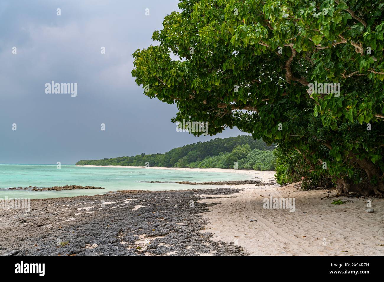 Star sand beach, Taketomi Island National Park, Ishigaki, Yaeyama ...