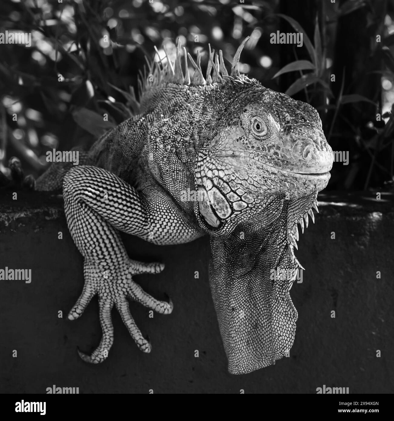 One america square Black and White Stock Photos & Images - Alamy