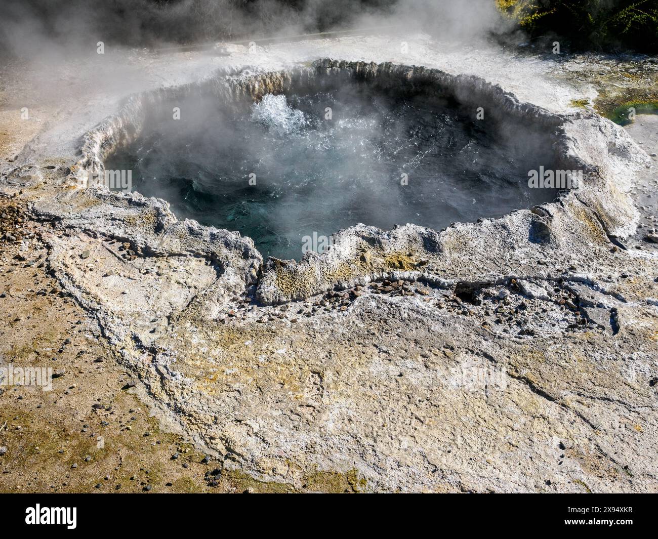 Natural pool of boiling water, geothermal area, Te Puia, Gisborne ...