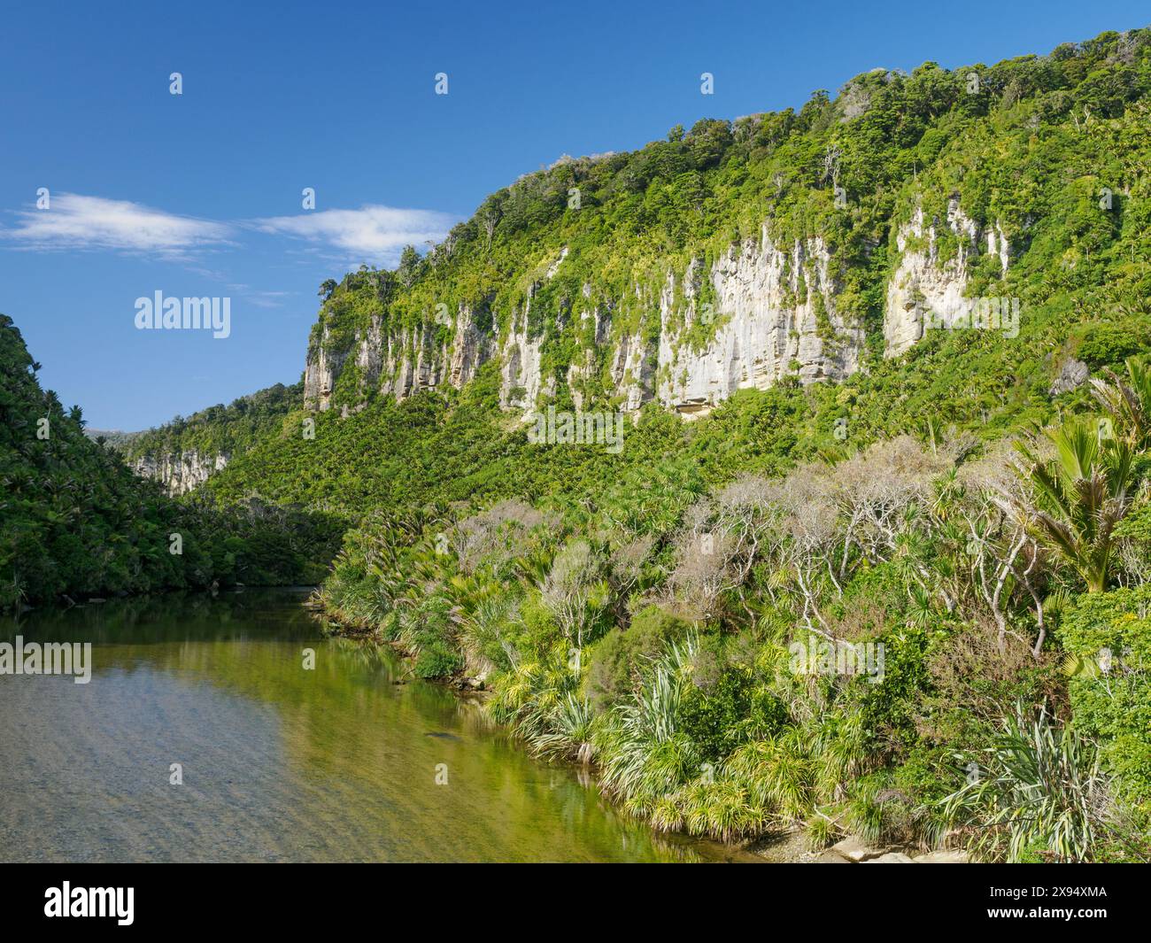 Pororari River, West Coast, South Island, New Zealand, Pacific Stock ...